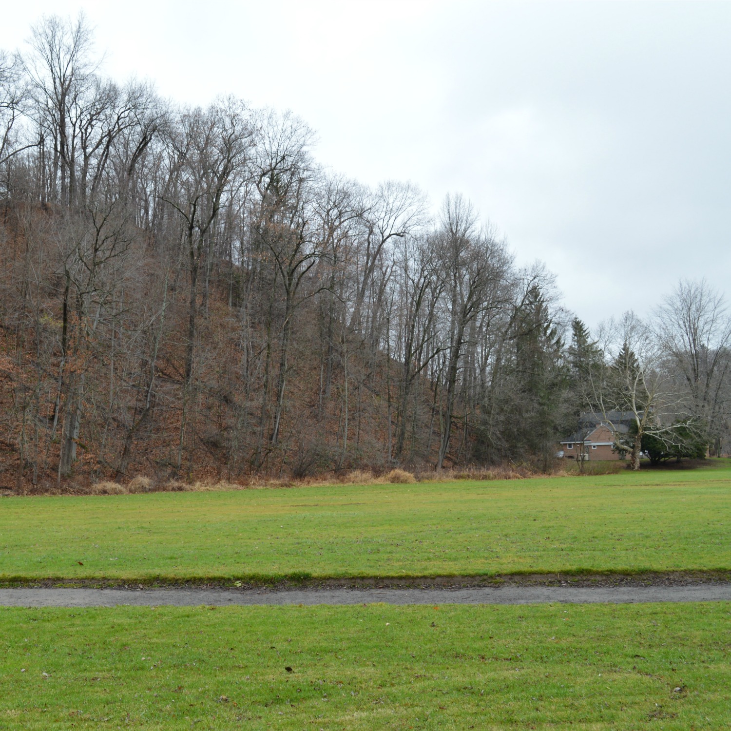 #76: Community and Philanthropy | We Love Rochester